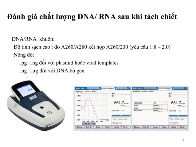 Slide tham khảo về tách chiết, PCR và điện di ADN.ppt