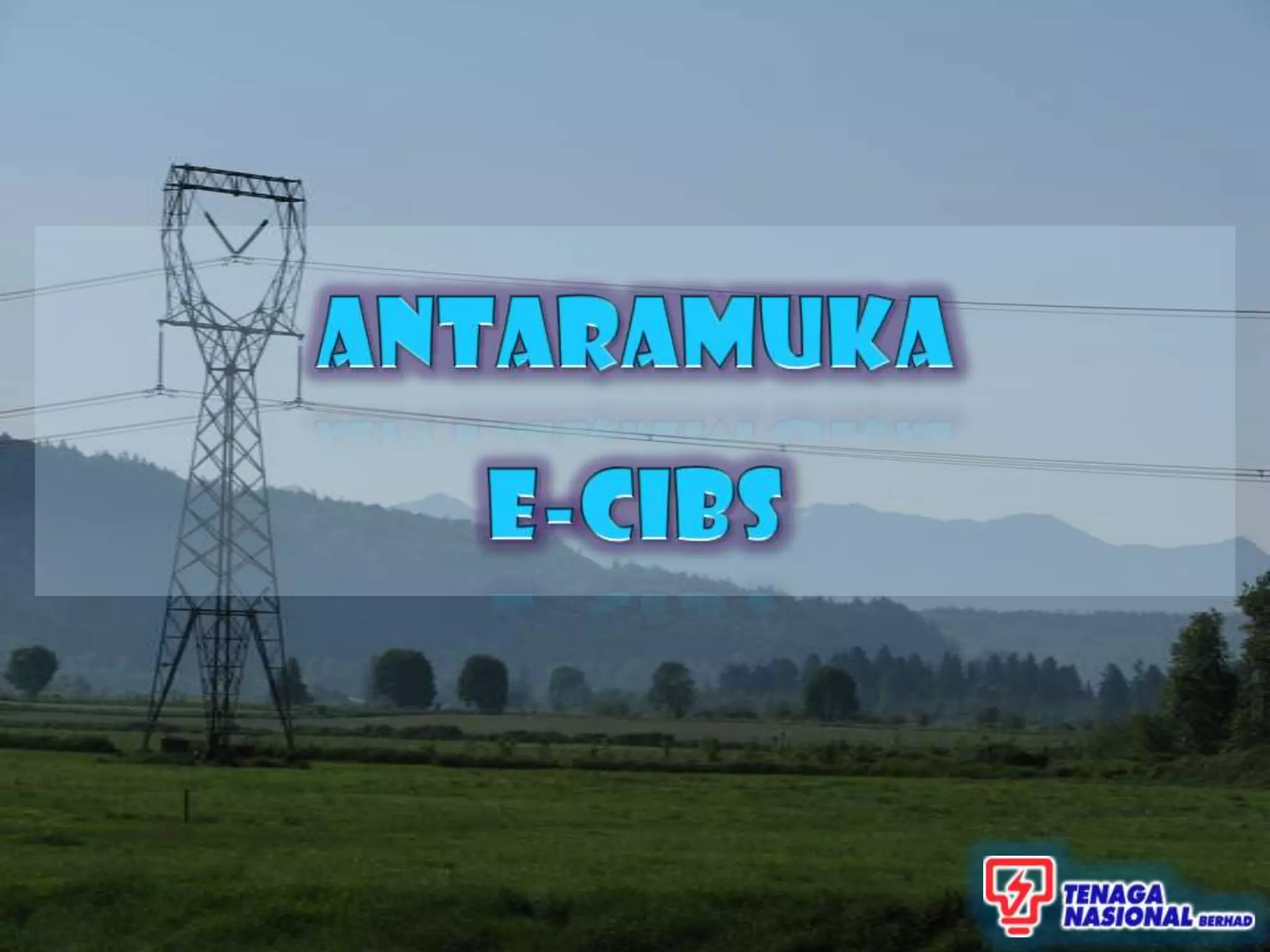 ORGANISASI TNB | PPTX