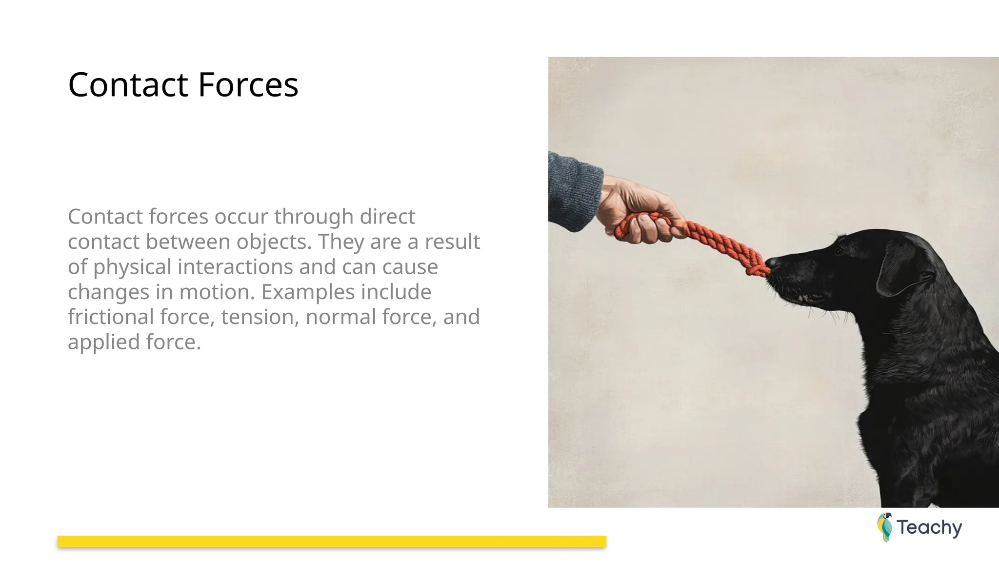 Slide_Understanding Forces.pptxhhhhhhhhhhh | PPTX