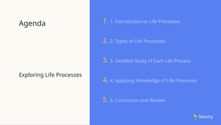 Slide_Understanding Life Processes.pptx.docx