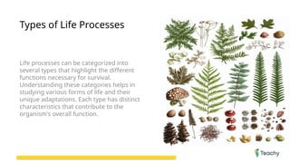 Slide_Understanding Life Processes.pptx.docx