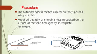 Microbiological Assay | PPTX