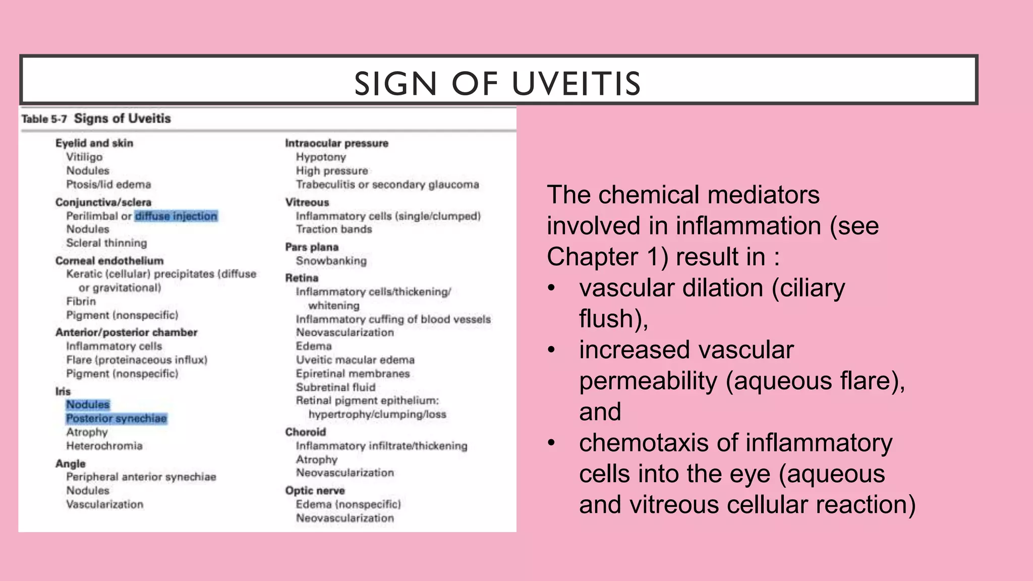 SLIDE UVEITIS ANTERIOR TO POSTERIOR .pptx
