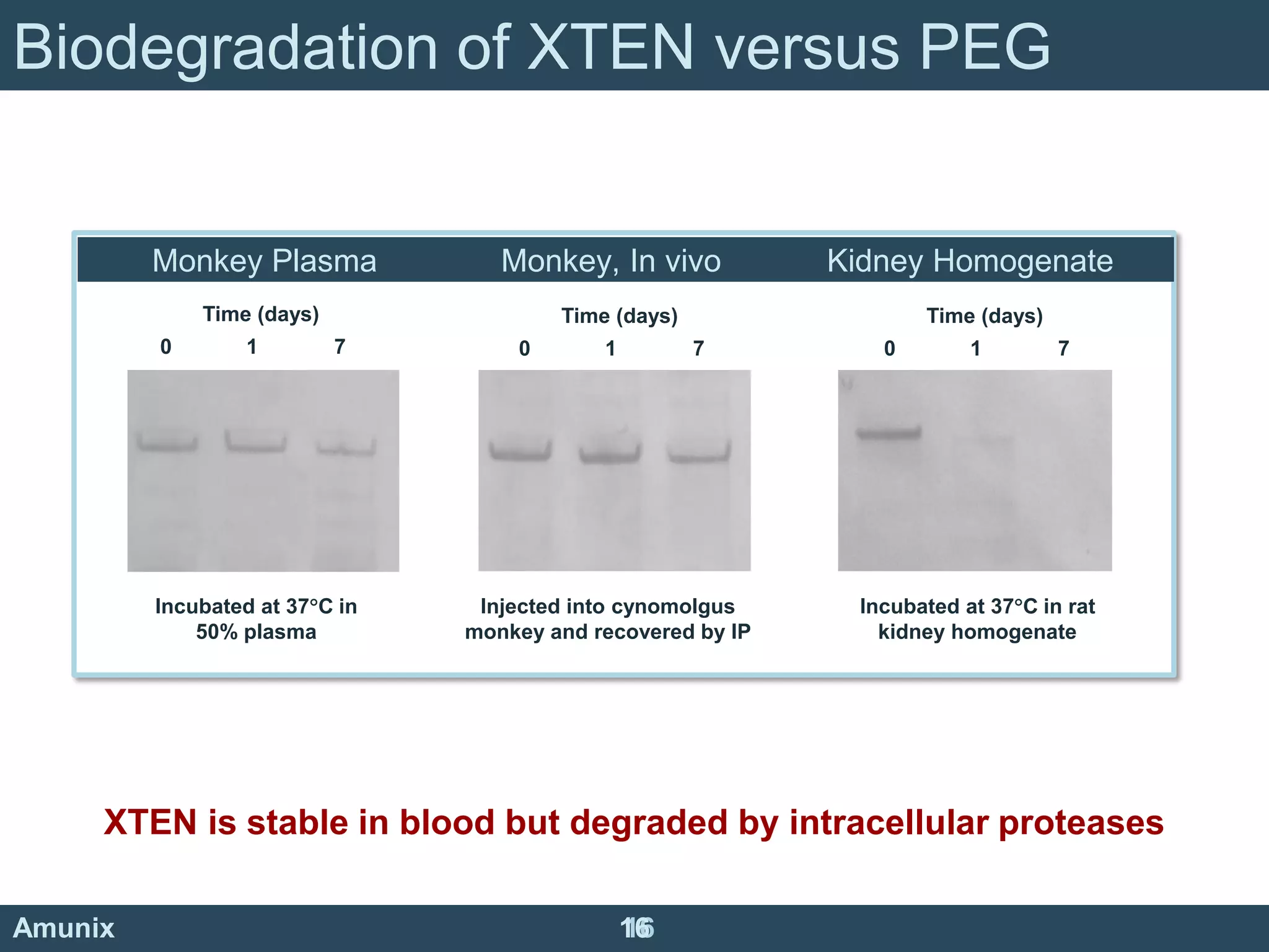 Introduction to XTEN v1 | PDF