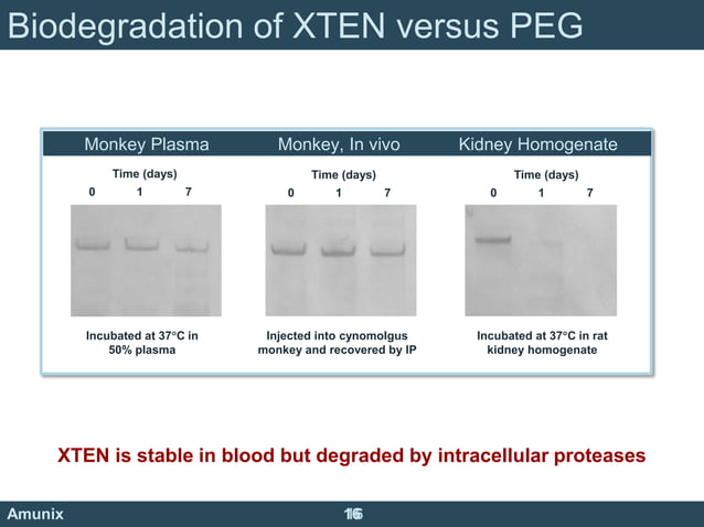 Introduction to XTEN v1 | PPT