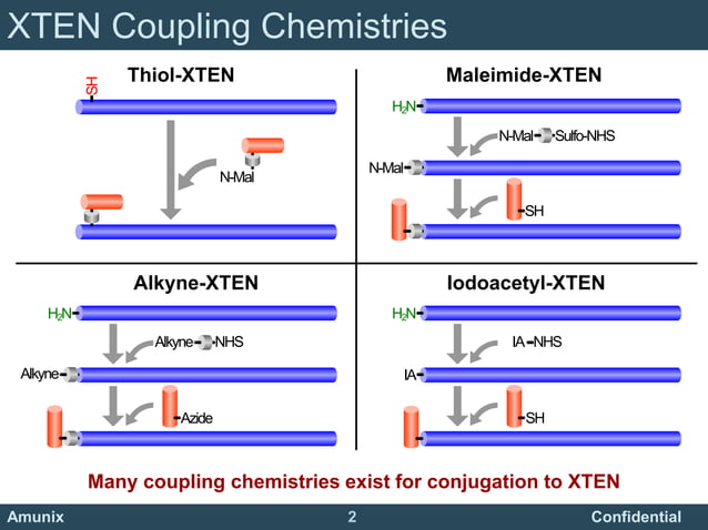 XTEN Conjugation v1 | PDF | Chemistry | Science