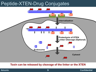 XTEN Conjugation v1 | PDF
