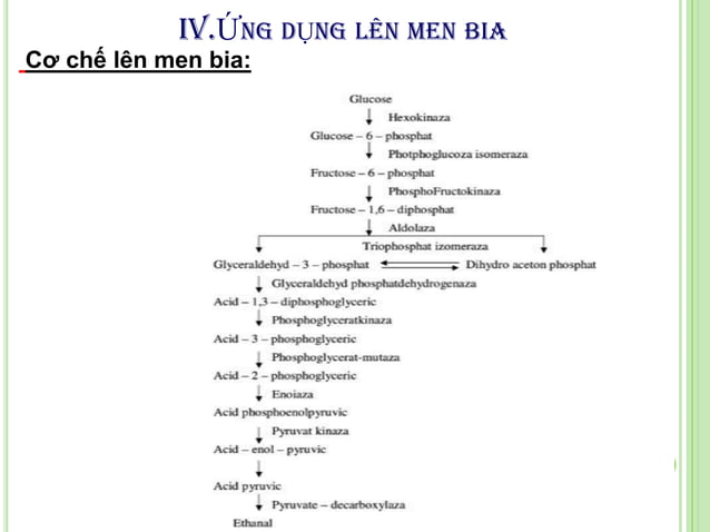 Slide vi nam chinh thuc-Nhất Camry | PPT
