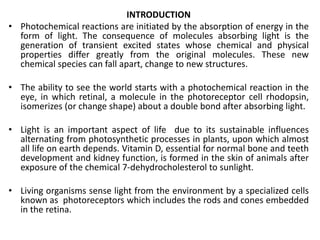 CHEMISTRY OF VISION BY C.U.EBONG | PPTX