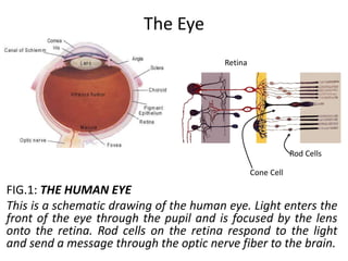 CHEMISTRY OF VISION BY C.U.EBONG | PPT