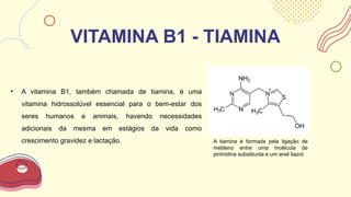Slide Vitaminas do complexo B .pptx