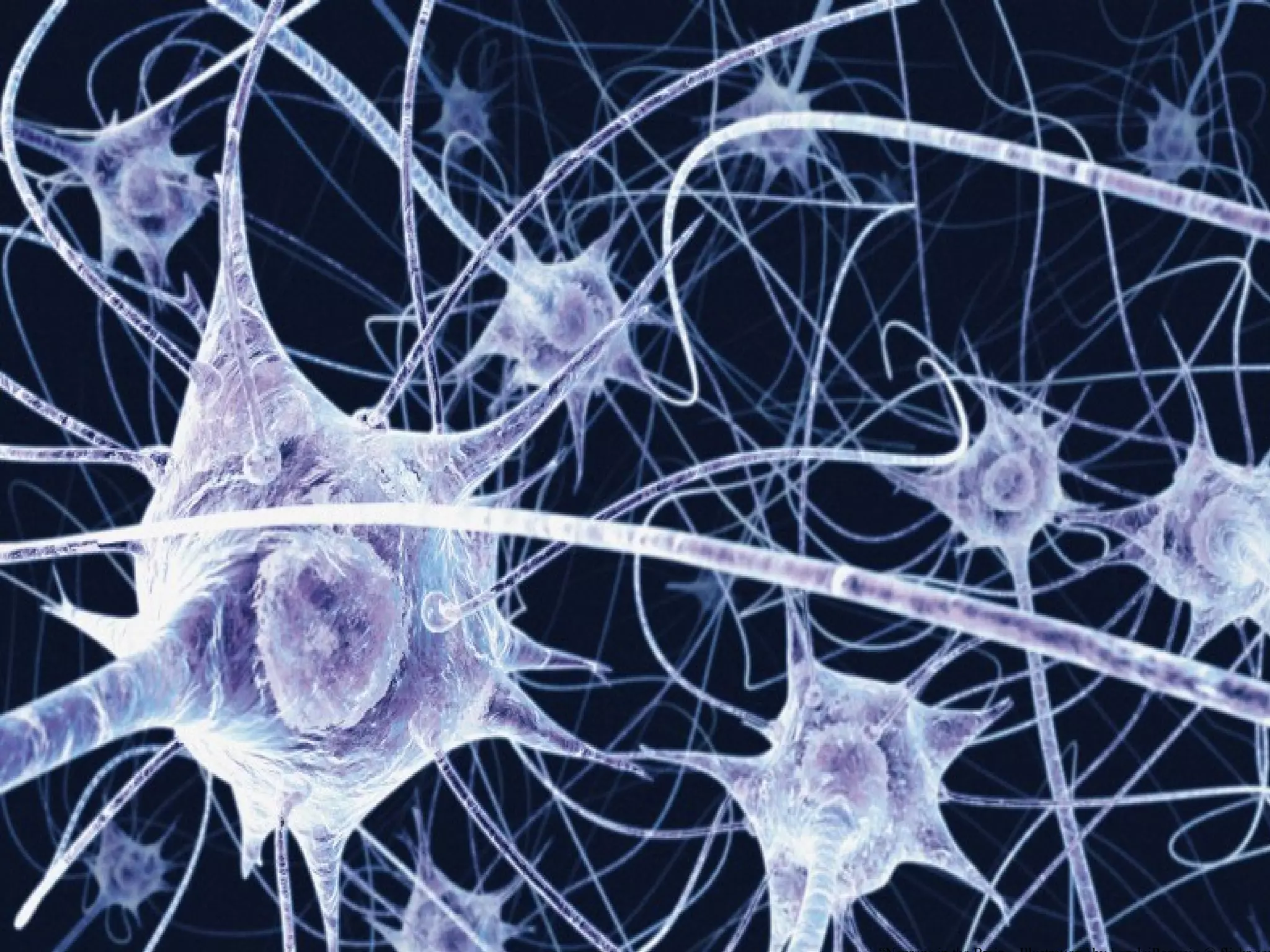 A Theory of Time | PPT