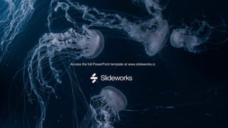 Consulting Proposal Template 2024 - By ex-Mckinsey and BCG consultants ...