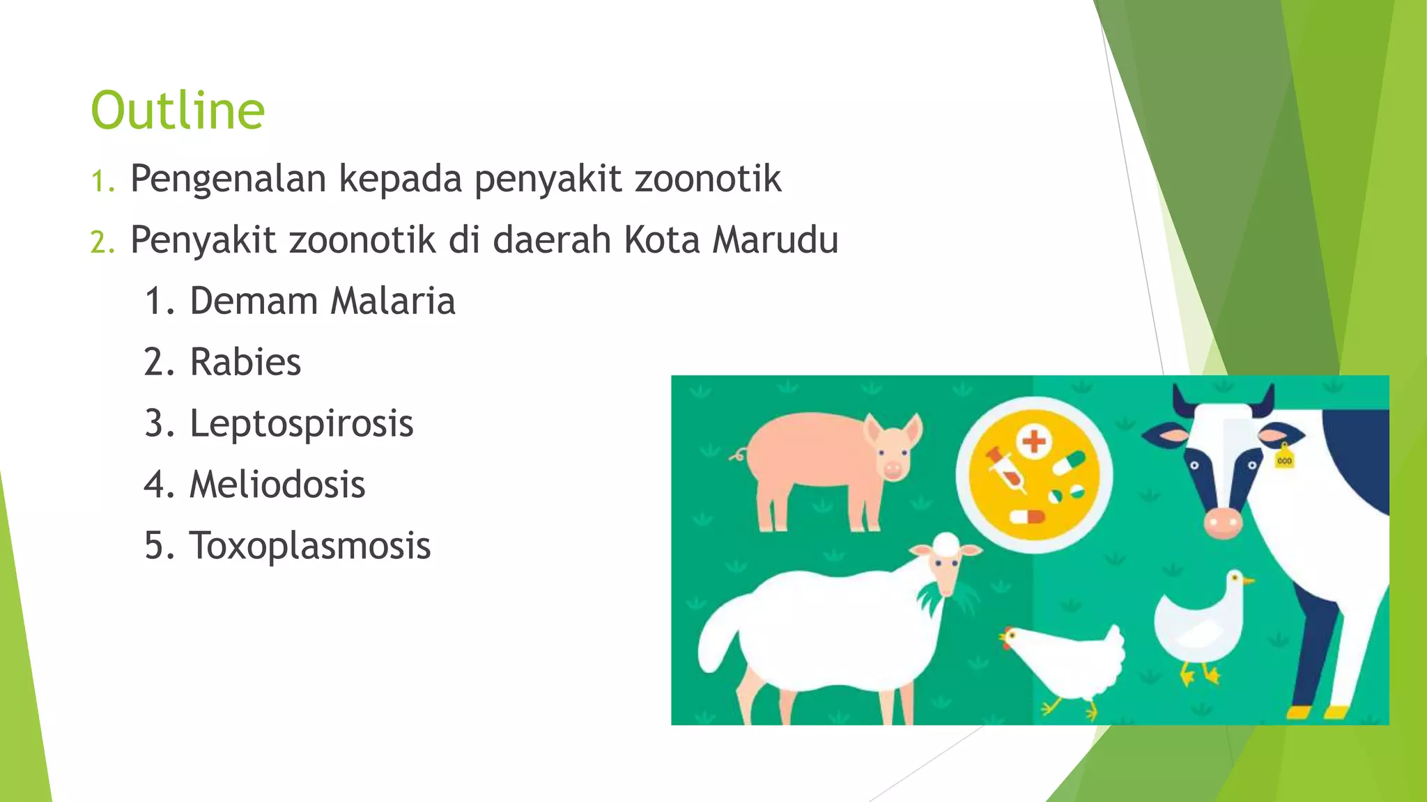 zoonotic disease Kota Marudu | PPT
