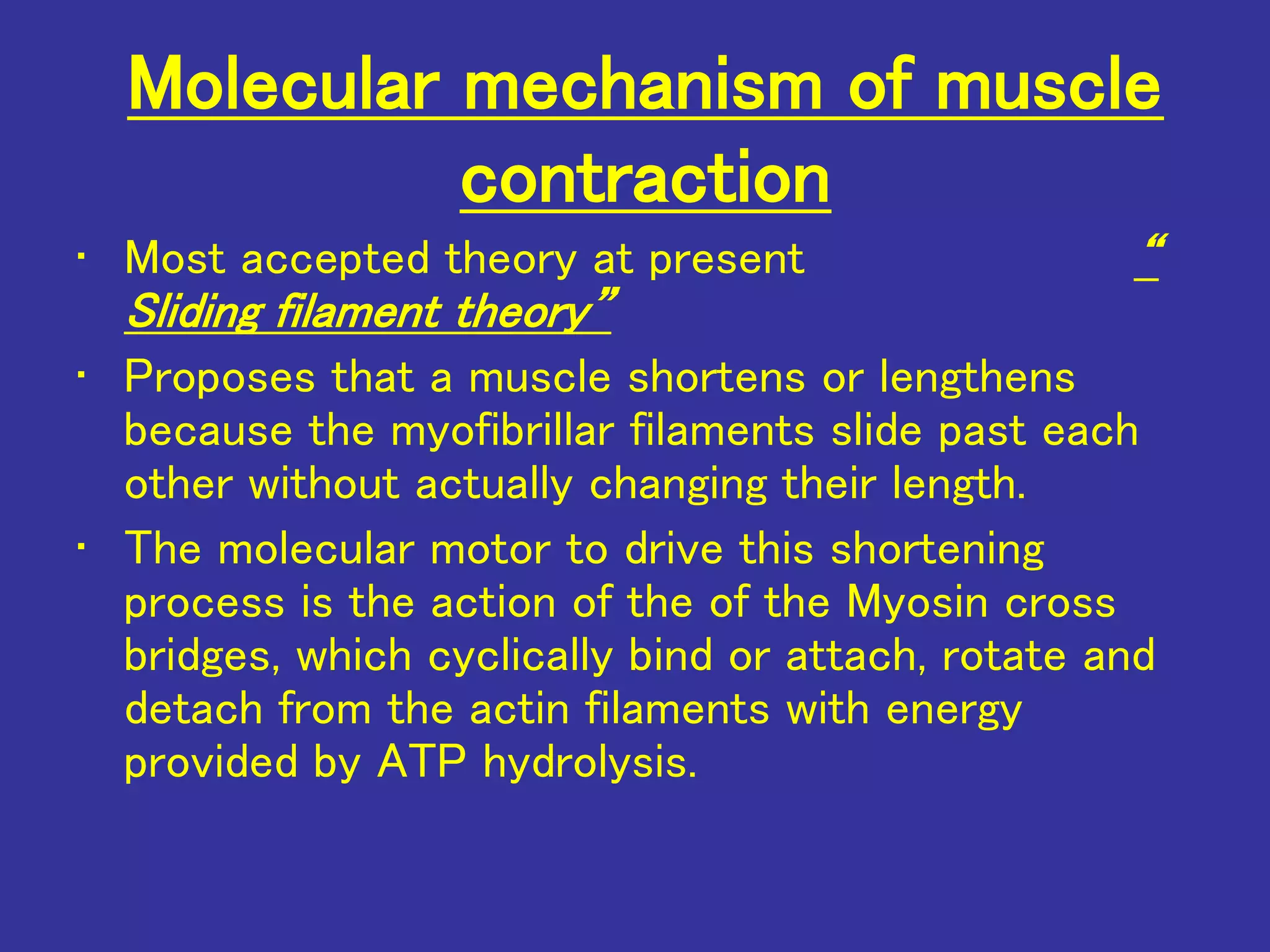 sliding_filament.ppt