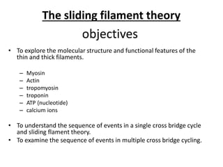 Sliding filament bgt (1) | PDF