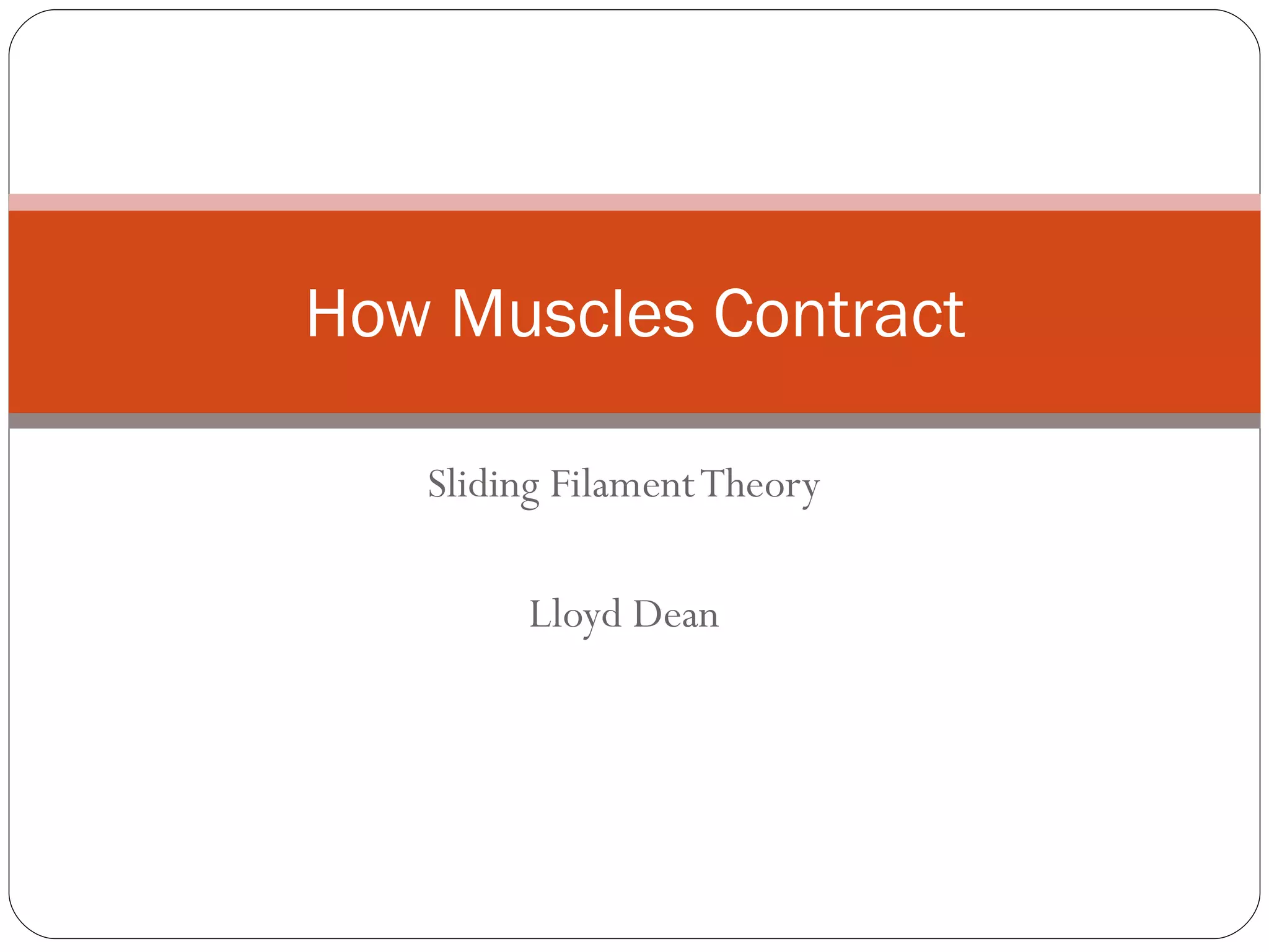 Sliding filament theory muscle contraction | PPT