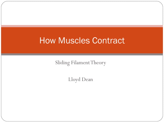 Sliding filament theory muscle contraction | PPT | Biological Sciences ...