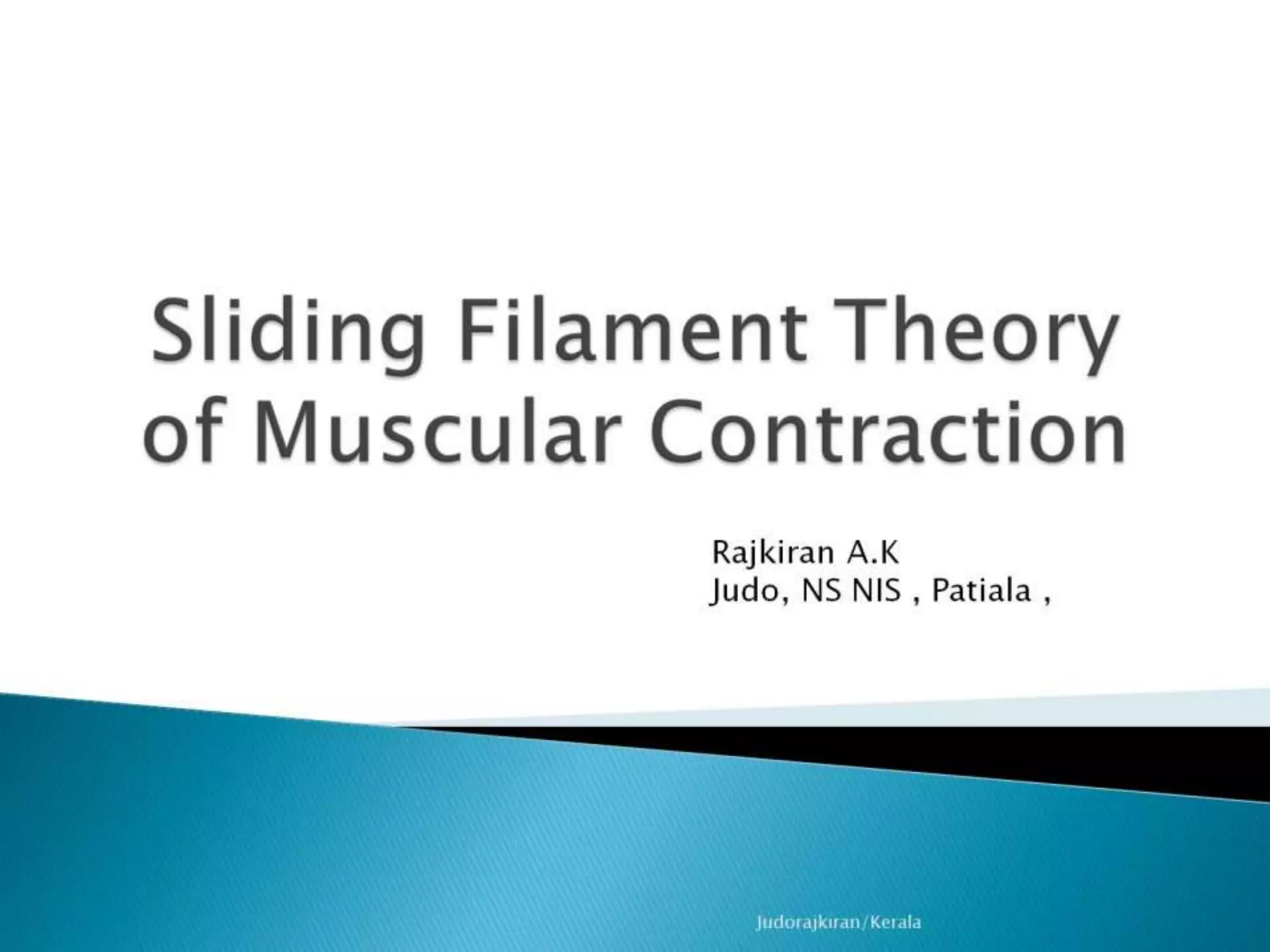 Sliding Filament Theory of Muscular Contraction judorajkiran.pptx ...