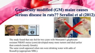 GMO’s risk our lives | PPTX
