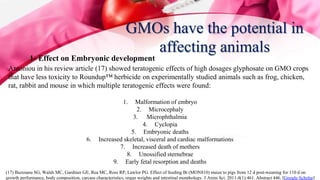 GMO’s risk our lives | PPT