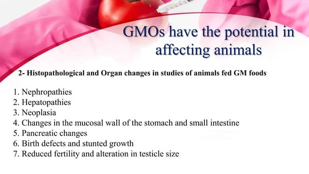 GMO’s risk our lives | PPT
