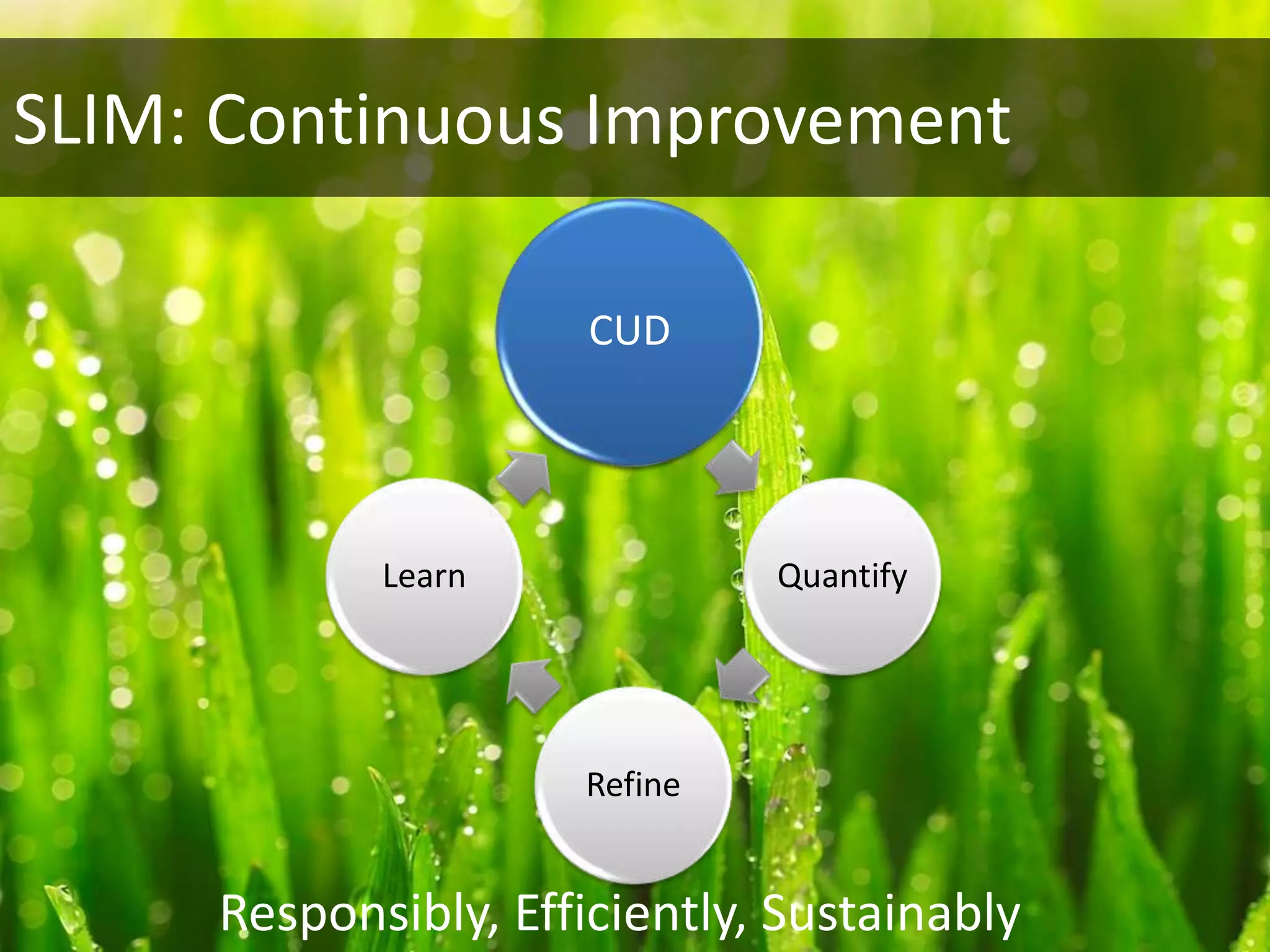 Sustainable IT Lifecycle Innovation Management | PPT