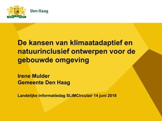De kansen van klimaatadaptief en natuurinclusief ontwerpen | PPT