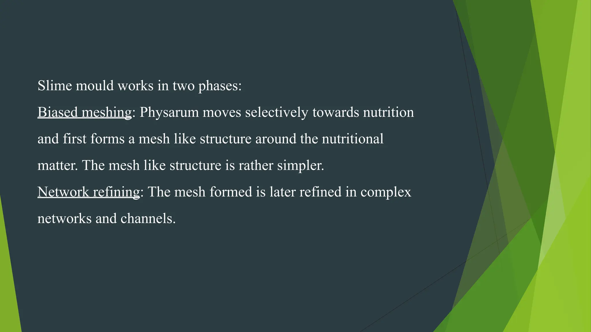 Slime Mould Inspired Urban Planning 2.pptx