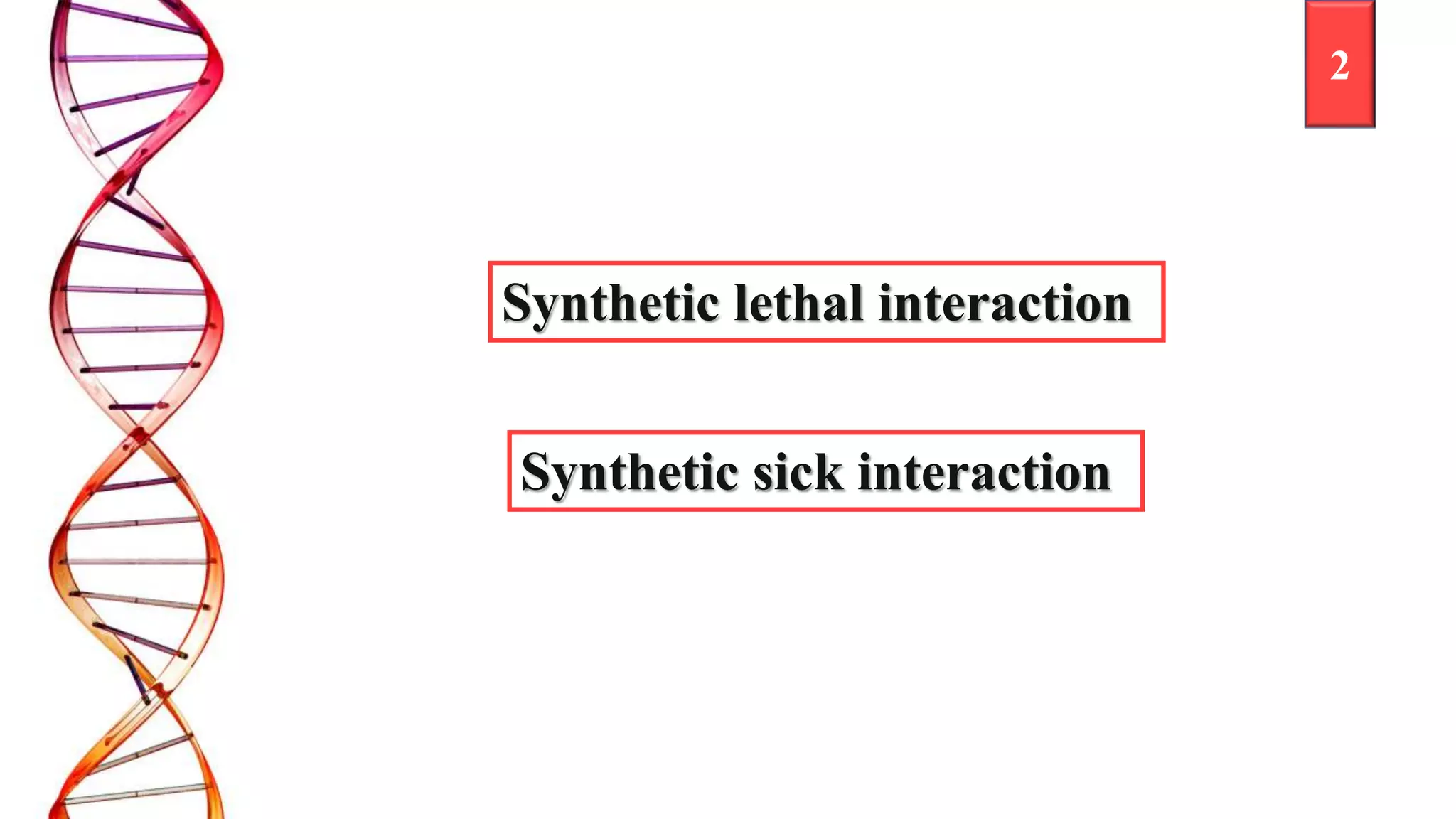 Synthetic lethality and cancer | PPTX