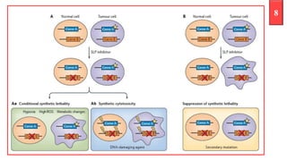 Synthetic lethality and cancer | PPTX