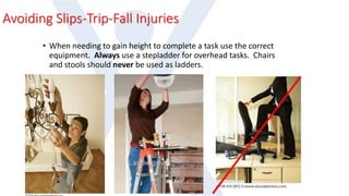 Slips Trips & Falls | PPT