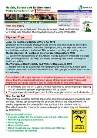 Slips, Trips and Falls | PDF