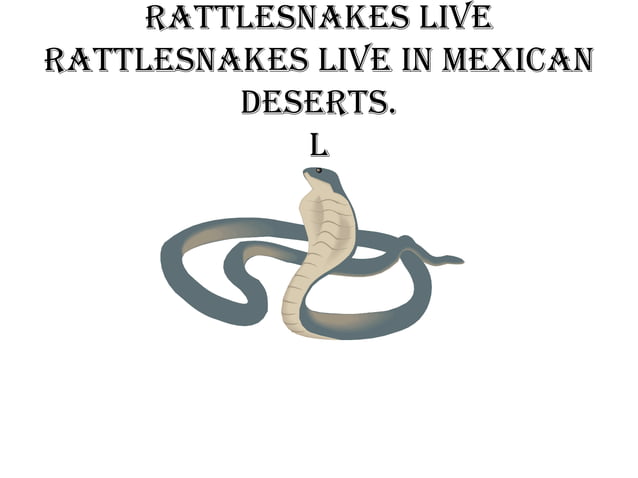 Slithery dry rattlesnakes | PPT