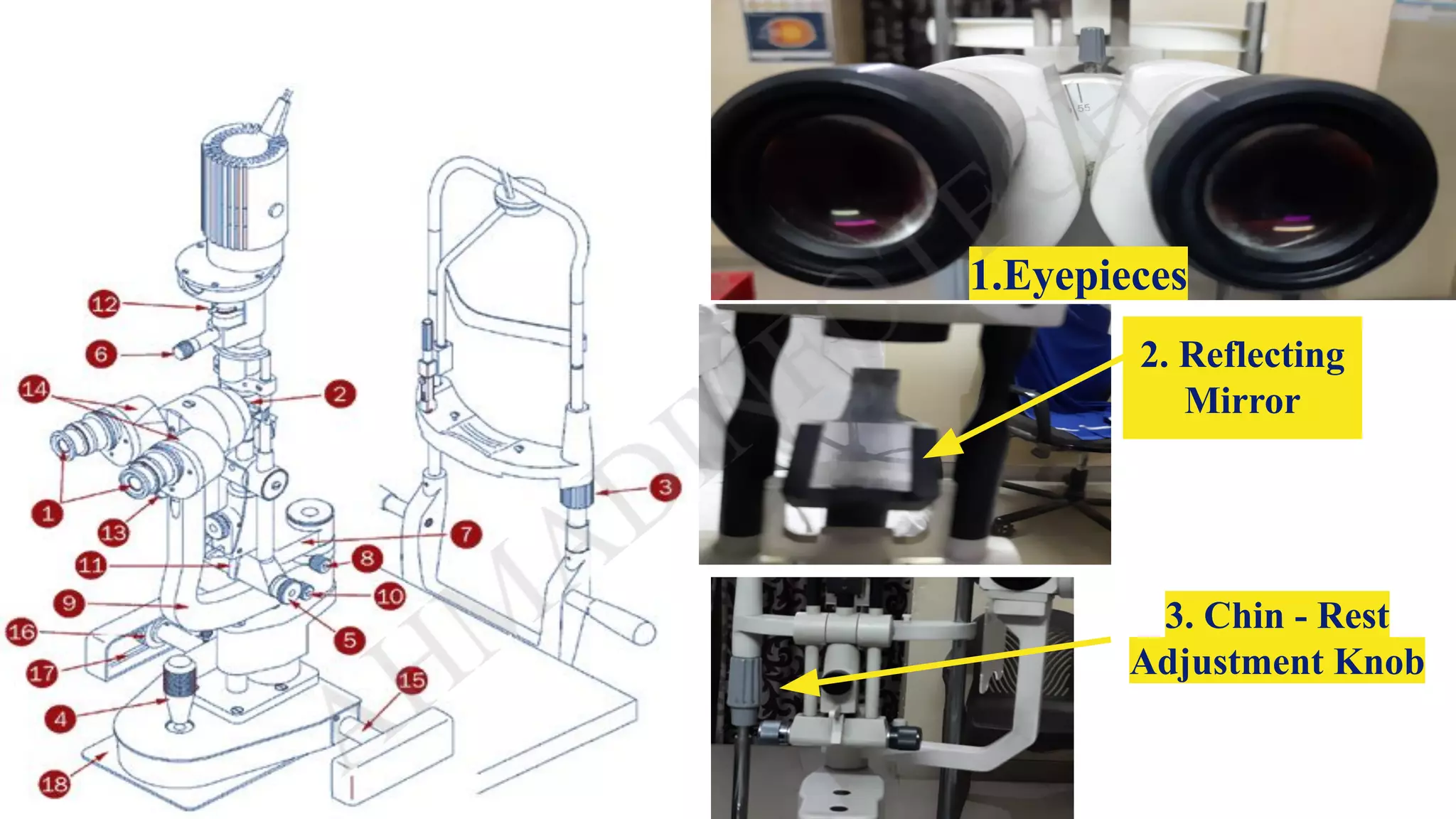 what is slit lamp Biomicroscopy | What is a slit lamp exam used for ...