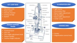 SLIT LAMP BIOMICROSCOPY Dr. Debarnab Dey | PPTX | Eye and Vision ...