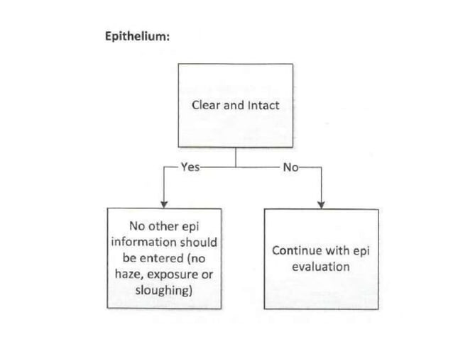 Slit Lamp Evaluation of Cornea | PPTX | Eye and Vision Conditions ...