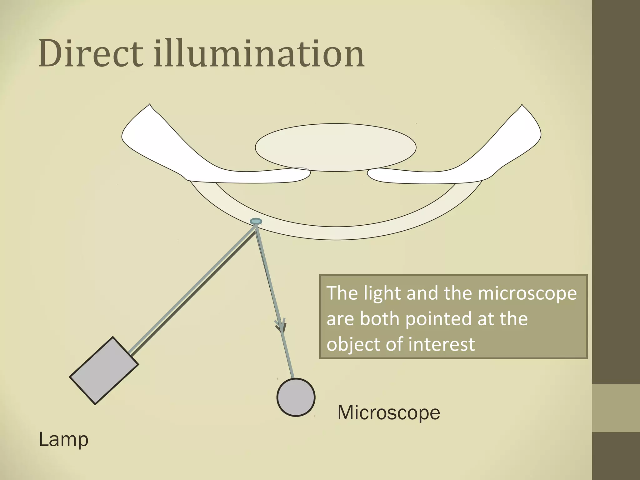 Slit lamp examination | PPT