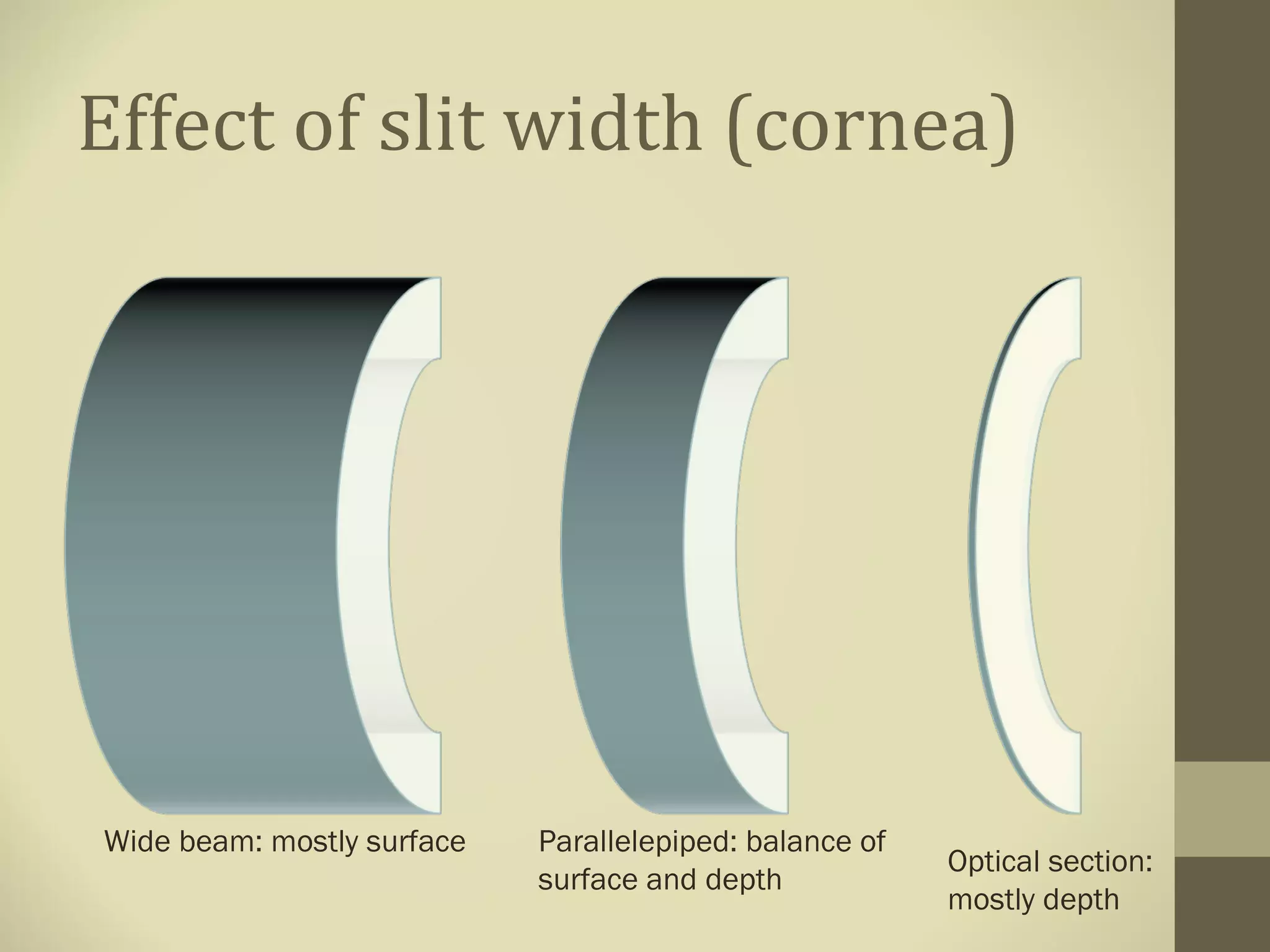 Slit lamp examination | PPT
