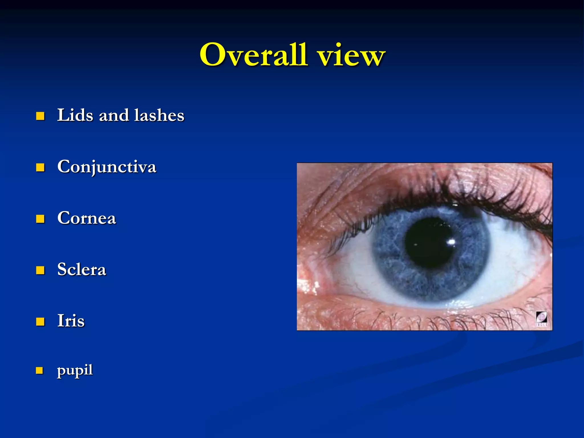 Slit lamp examination.ppt