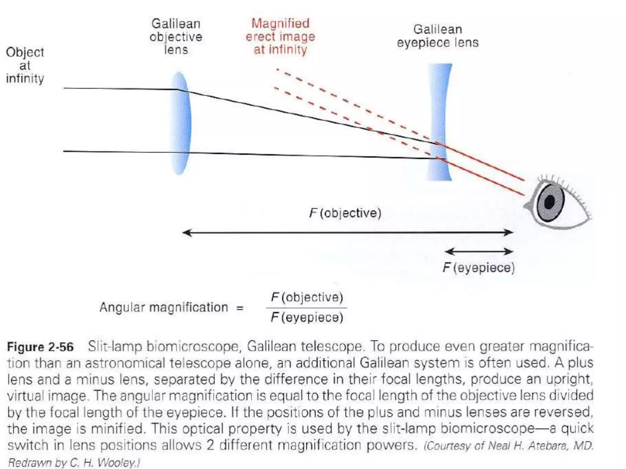 Slit lamp examination lecture | PPTX