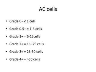 slitlamp examinations of Anterior Chamber.pptx