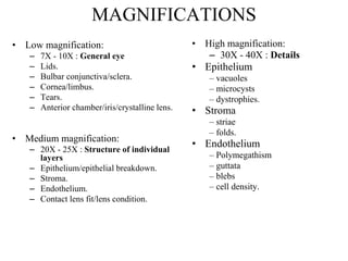 Slit lamp techniques.pptx