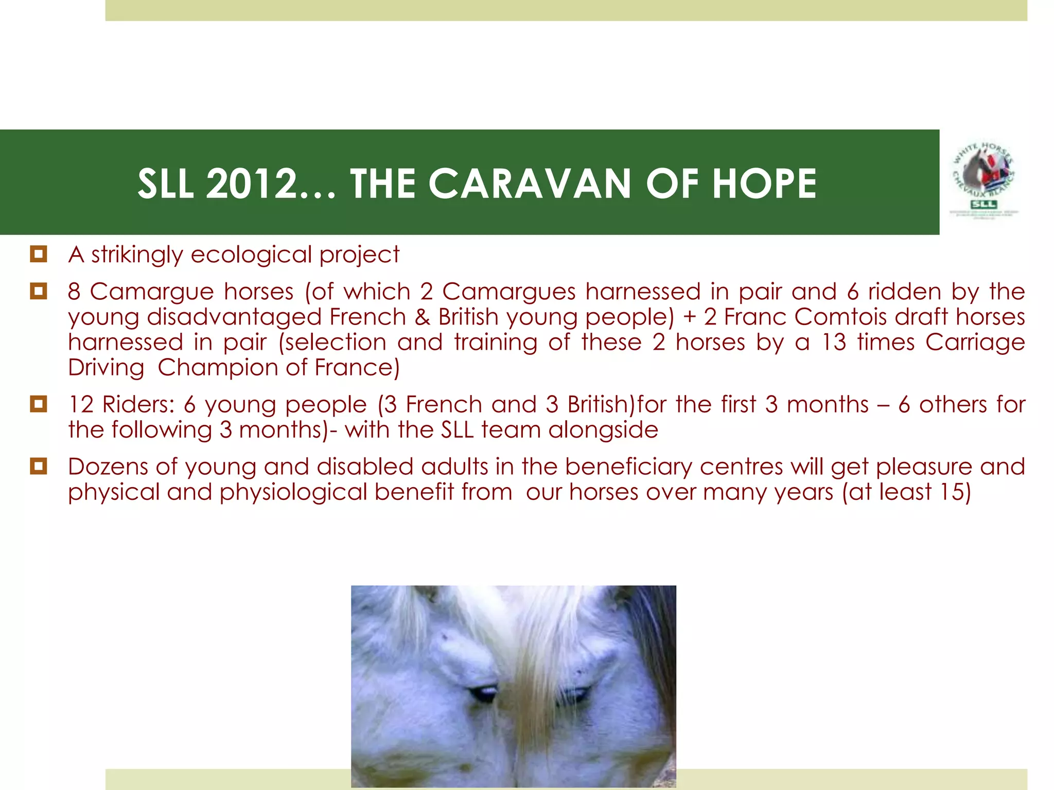 White Horses Charity (SLL) - The Caravan of Hope | PPT