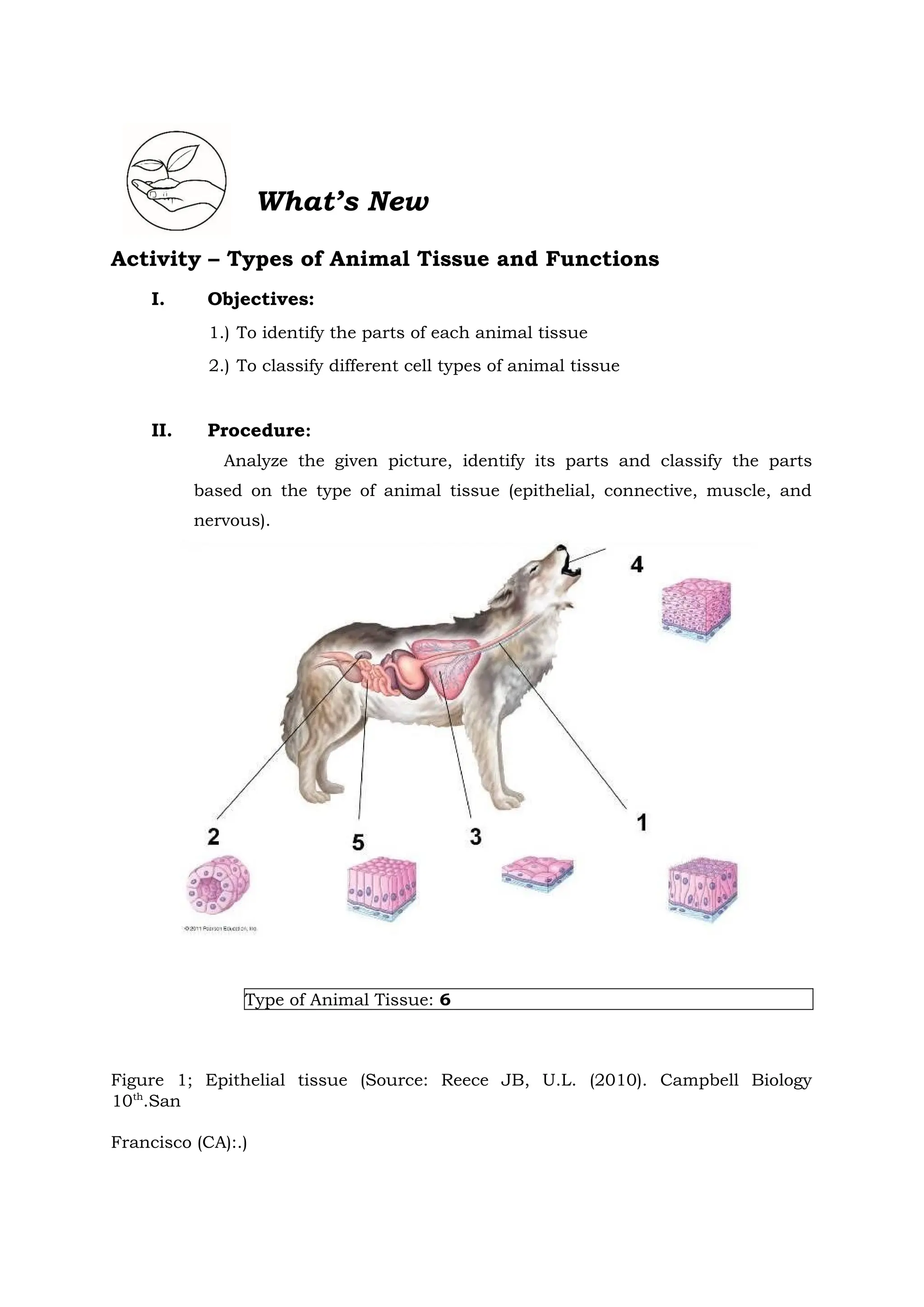 SLM-General-Biology-Animal-Tissues-SC.docx