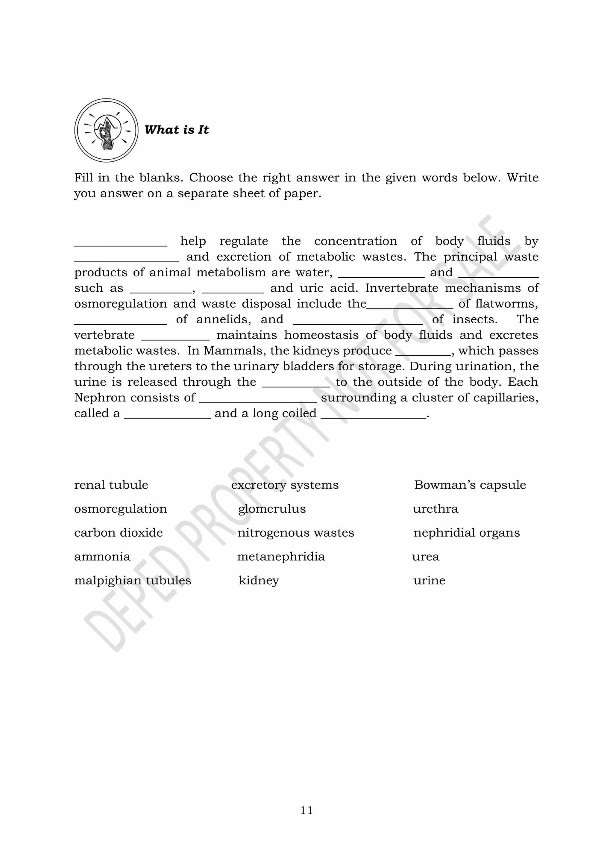 SLM-Regulation-of-Body-Fluids.pdf