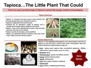 Sloan presentation v2 | PPT | Free Download