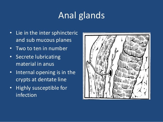 SLOFT SURGERY PRESENTATION