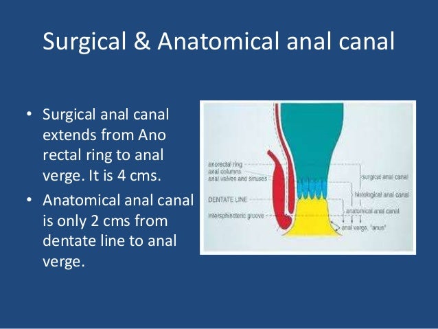 SLOFT SURGERY PRESENTATION