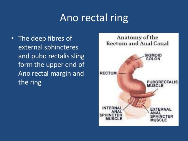 SLOFT SURGERY PRESENTATION